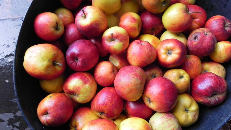 Spanish Apple Cider O’Daly Sidra Natural Espumosa